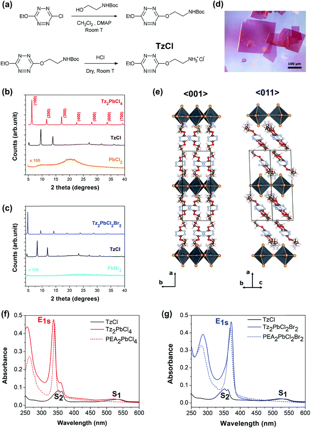 Tetrazine molecules as an efficient electronic diversion channel in 2D ...