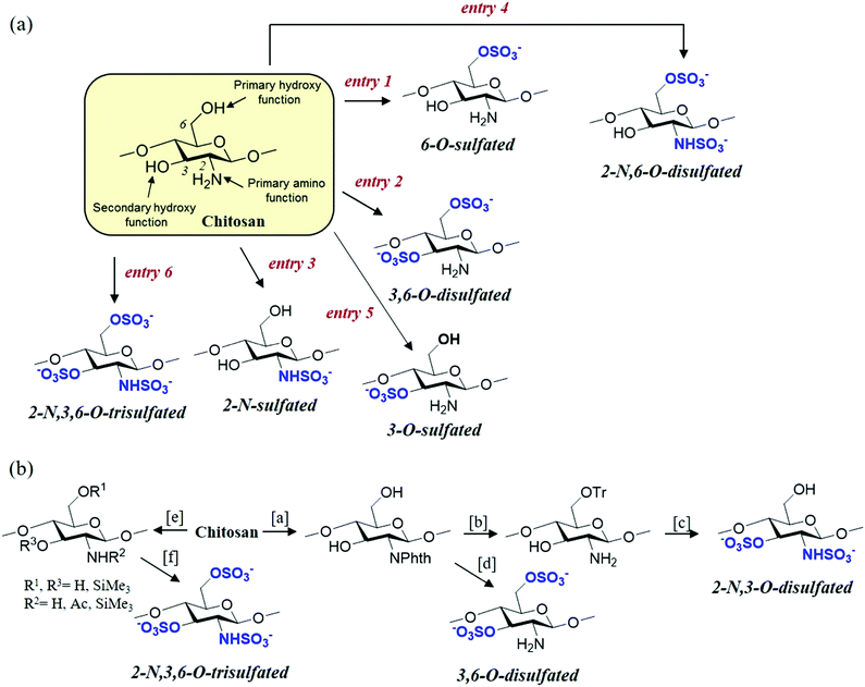 Heparanized chitosans: towards the third generation of chitinous ...