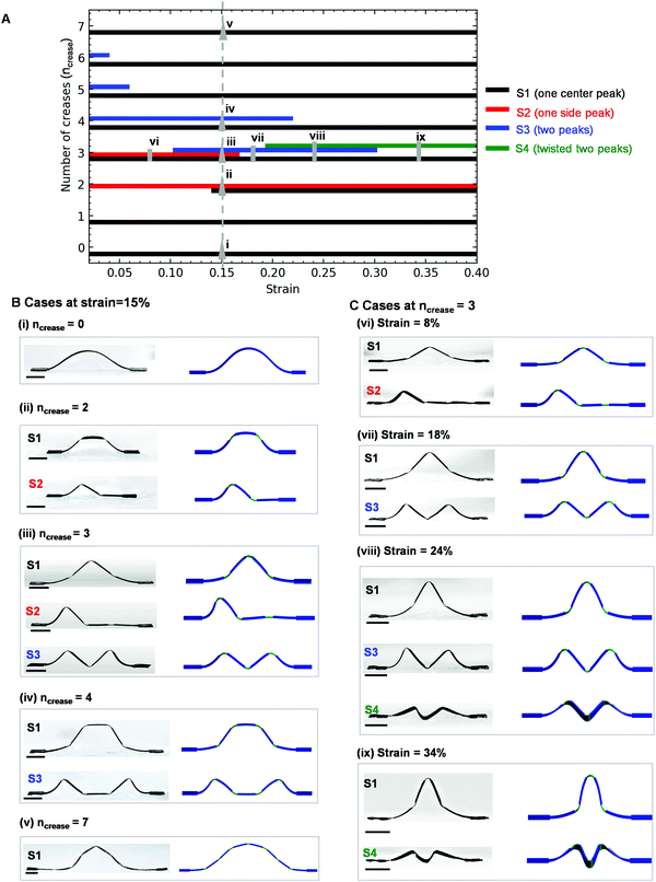 Tailoring the multistability of origami-inspired, buckled magnetic ...