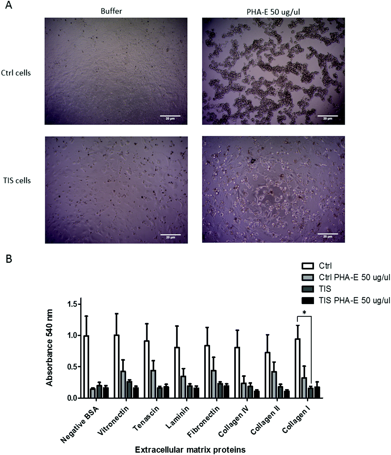 N -Linked glycosylation profiles of therapeutic induced senescent (TIS ...