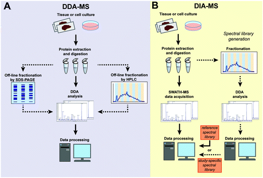 Data-independent acquisition mass spectrometry (DIA-MS) for proteomic ...