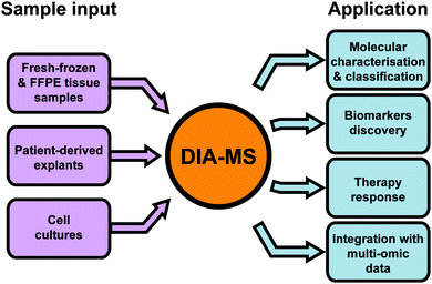 Data-independent acquisition mass spectrometry (DIA-MS) for proteomic ...