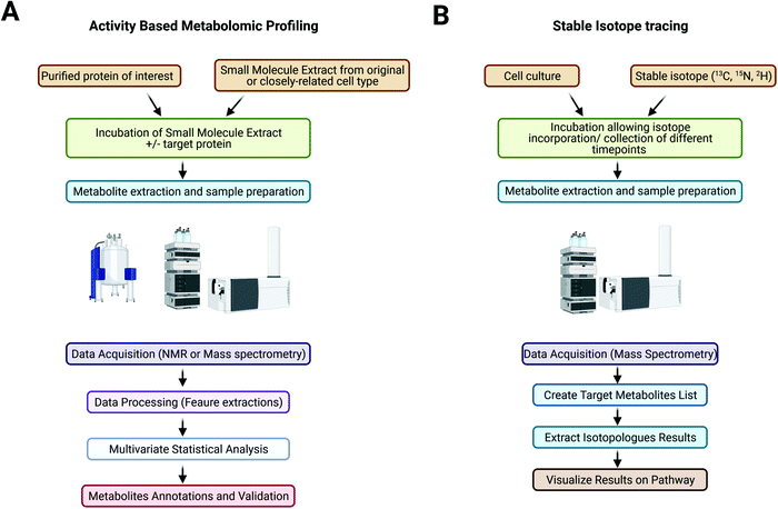 Metabolomics in infectious diseases and drug discovery - Molecular ...