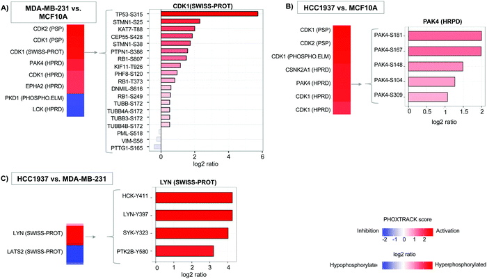 Multi-omics data integration reveals correlated regulatory features of ...