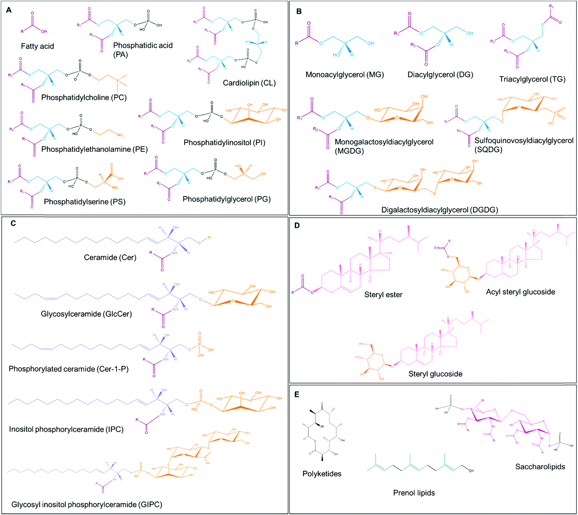 The state of the art in plant lipidomics - Molecular Omics (RSC ...
