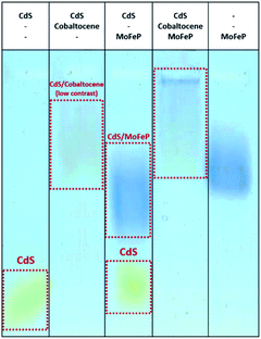 Investigating the use of conducting oligomers and redox molecules in ...