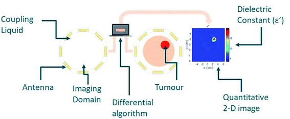 Nanomaterials responding to microwaves: an emerging field for imaging ...