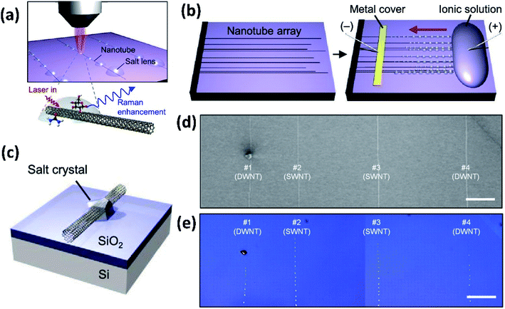 Optical visualization and imaging of nanomaterials - Nanoscale Advances ...