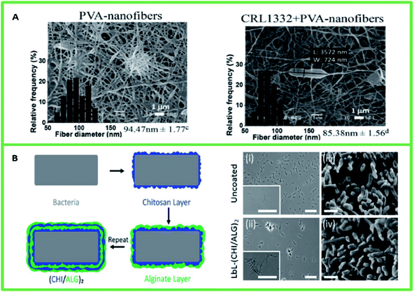 Nanomaterial-based encapsulation for controlled gastrointestinal ...