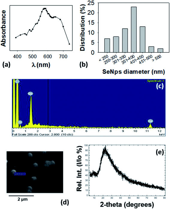 Biogenic selenium nanoparticles produced by Lactobacillus casei ATCC ...