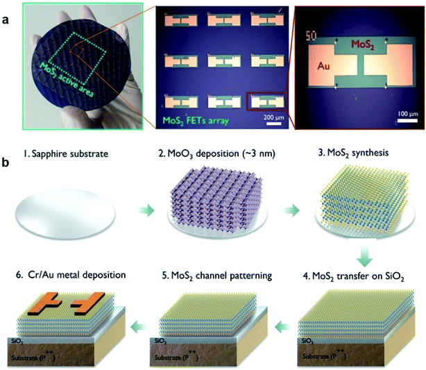 A wafer-scale synthesis of monolayer MoS 2 and their field-effect ...