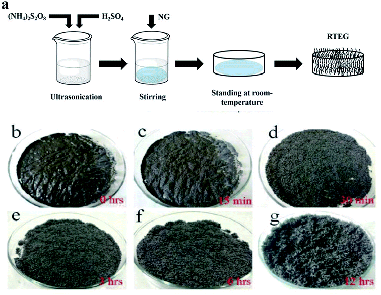 Recent trends in the applications of thermally expanded graphite for ...