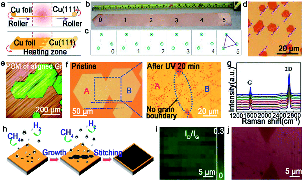 Continuous orientated growth of scaled single-crystal 2D monolayer ...