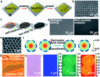 Continuous orientated growth of scaled single-crystal 2D monolayer ...