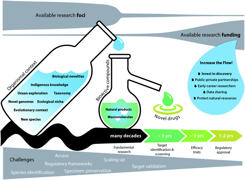 Unlocking the potential of marine biodiscovery - Natural Product ...
