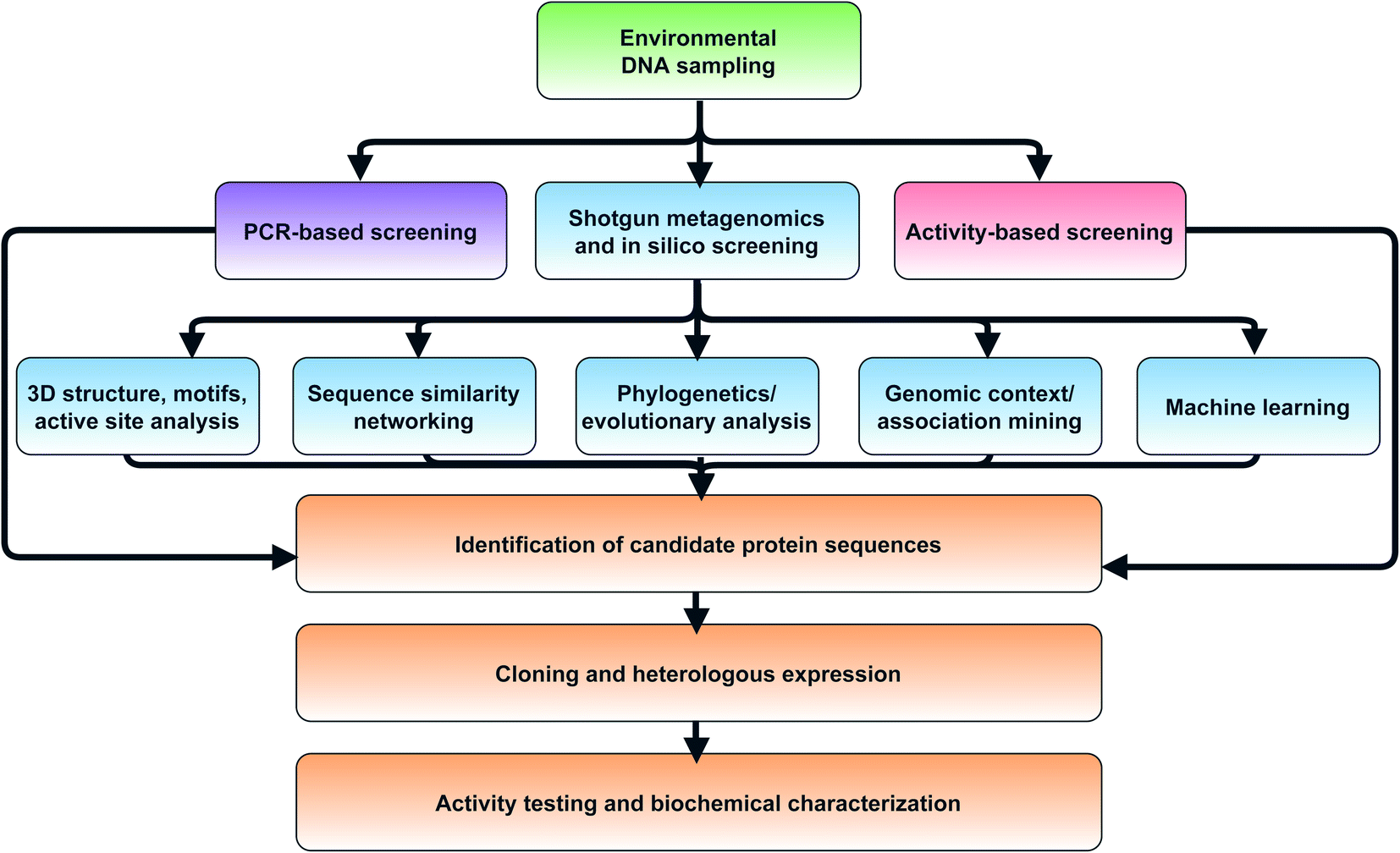 A roadmap for metagenomic enzyme discovery - Natural Product Reports ...