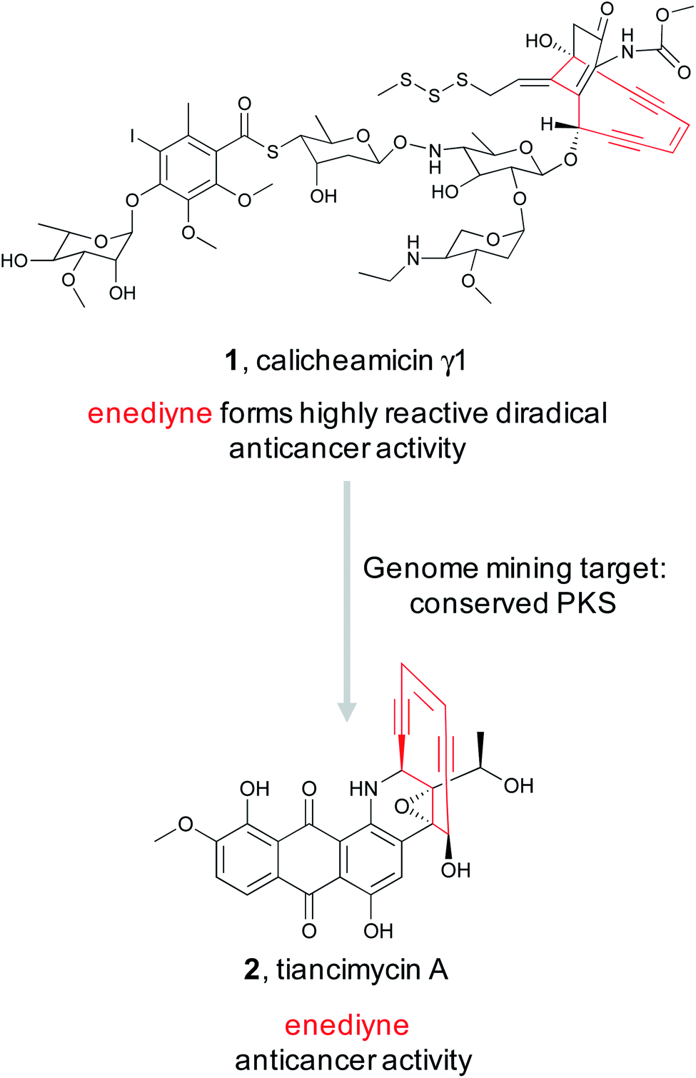 Genome mining methods to discover bioactive natural products - Natural ...