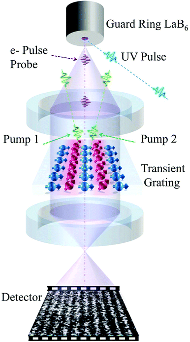 Femtosecond laser driven precessing magnetic gratings - Nanoscale (RSC ...
