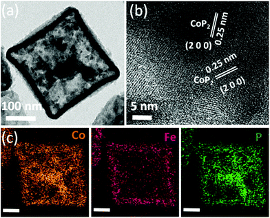 CoP 2 /Fe-CoP 2 yolk–shell nanoboxes as efficient electrocatalysts for ...