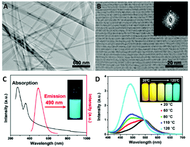 Copper nanoclusters: designed synthesis, structural diversity, and ...