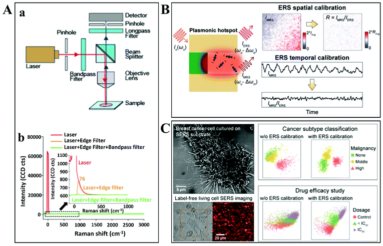 Surface-enhanced Raman spectroscopy for bioanalysis and diagnosis ...