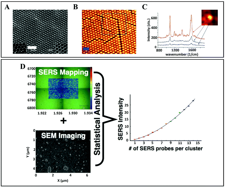 Surface-enhanced Raman spectroscopy for bioanalysis and diagnosis ...