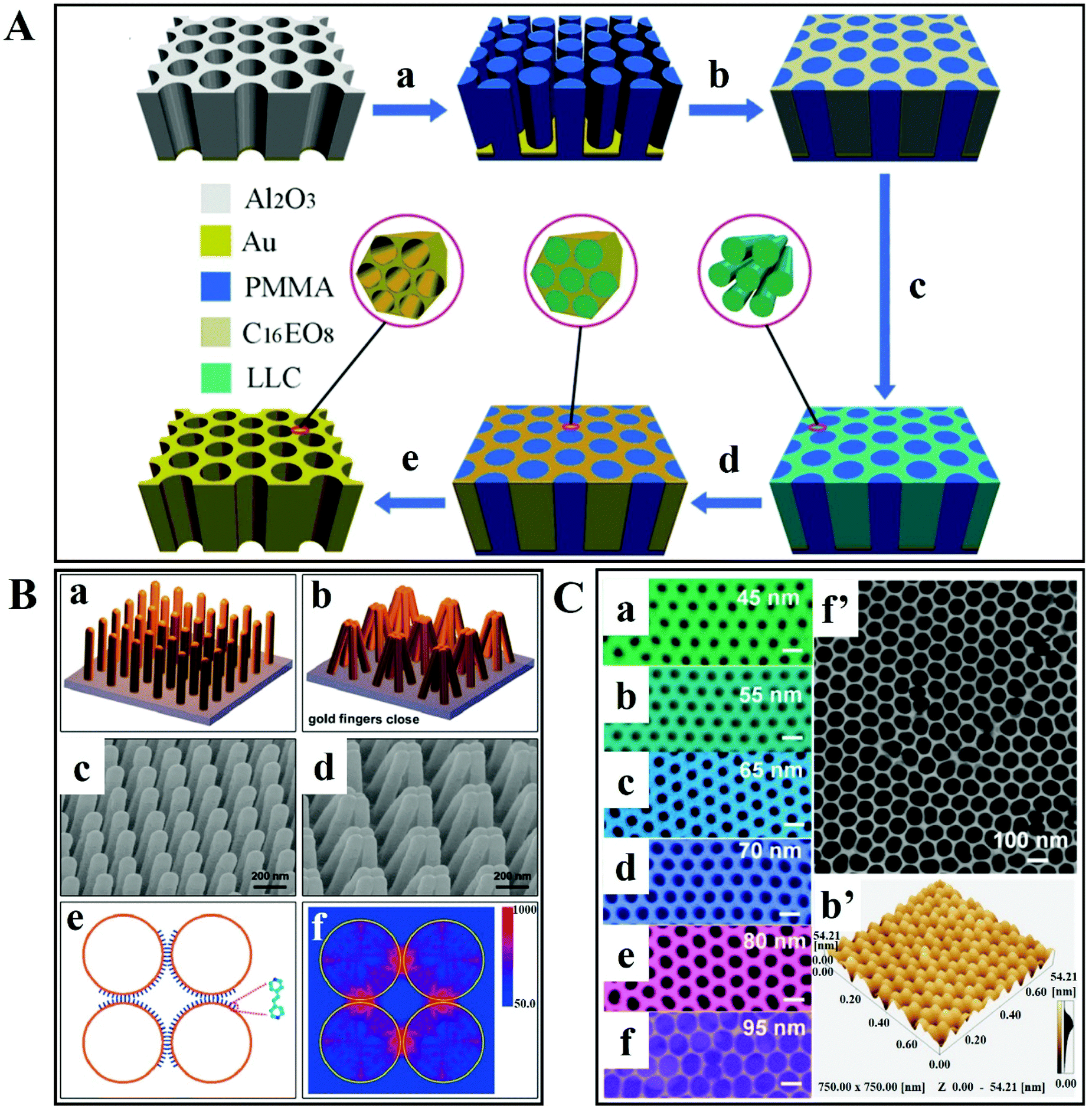 Surface-enhanced Raman spectroscopy for bioanalysis and diagnosis ...