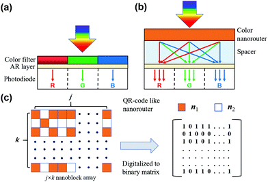 Full-color nanorouter for high-resolution imaging - Nanoscale (RSC ...