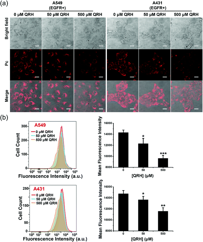 Reactive oxygen species-responsive polydopamine nanoparticles for ...