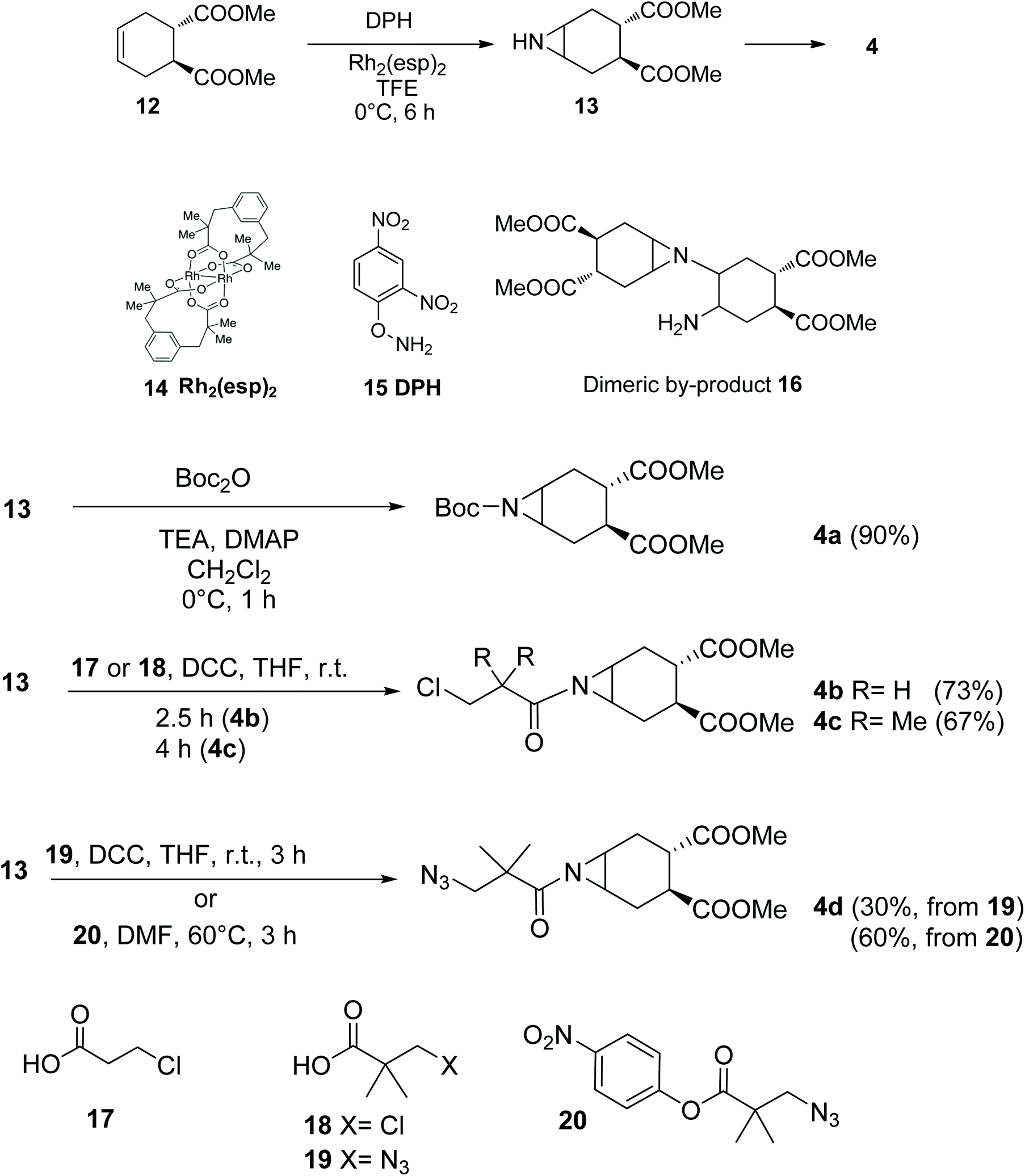 One pot synthesis of thio -glycosides via aziridine opening reactions ...