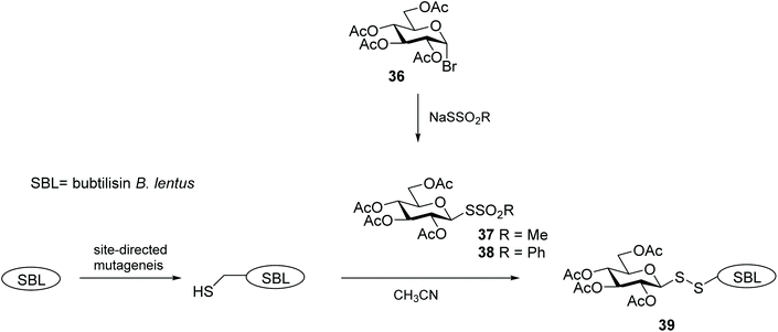 Glycosyl disulfides: importance, synthesis and application to chemical ...