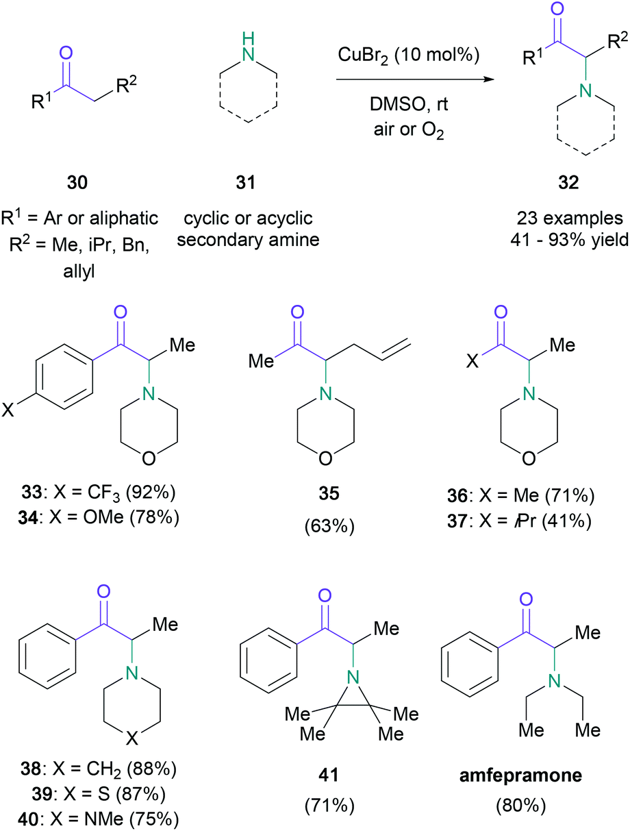 Recent advances in the synthesis of α-amino ketones - Organic ...