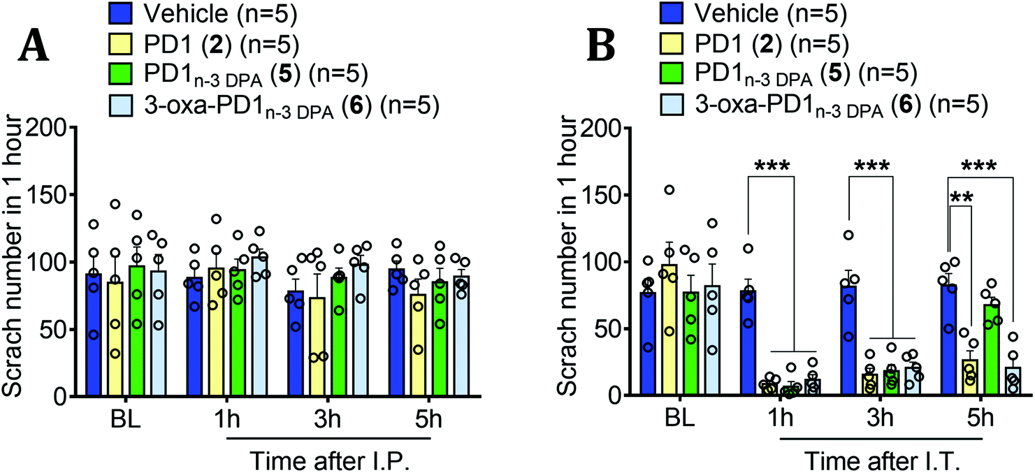 A new synthetic protectin D1 analog 3-oxa-PD1 n-3 DPA reduces ...