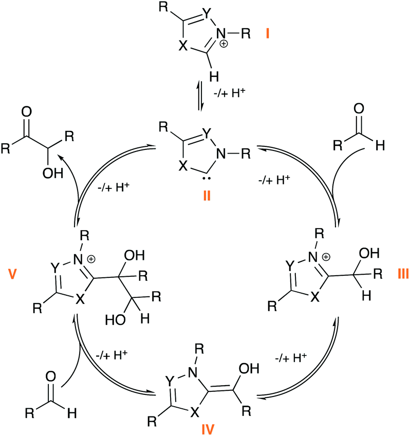 Kinetic and structure–activity studies of the triazolium ion-catalysed ...