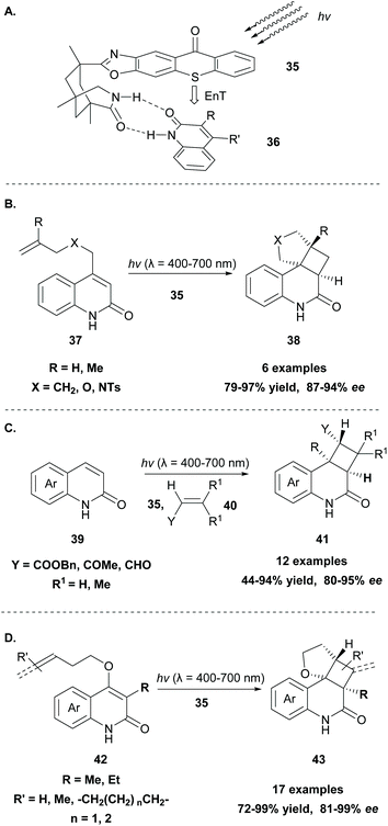 Thioxanthone: a powerful photocatalyst for organic reactions - Organic ...