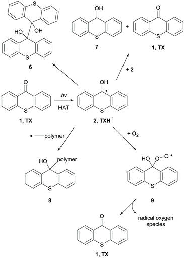 Thioxanthone: a powerful photocatalyst for organic reactions - Organic ...