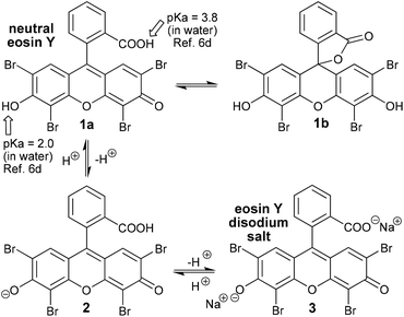 Eosin: a versatile organic dye whose synthetic uses keep expanding ...