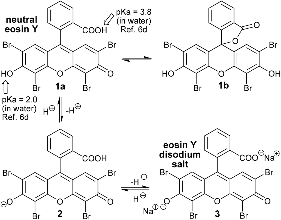 Eosin: a versatile organic dye whose synthetic uses keep expanding ...