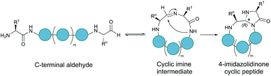 Approaches for peptide and protein cyclisation - Organic & Biomolecular ...