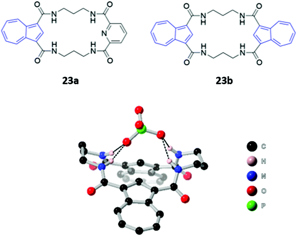 Optical sensing of anions by macrocyclic and interlocked hosts ...