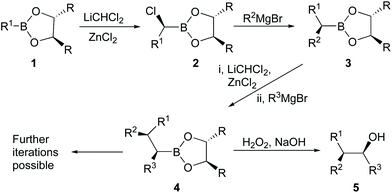 Studies on a catalytic version of the Matteson asymmetric homologation ...