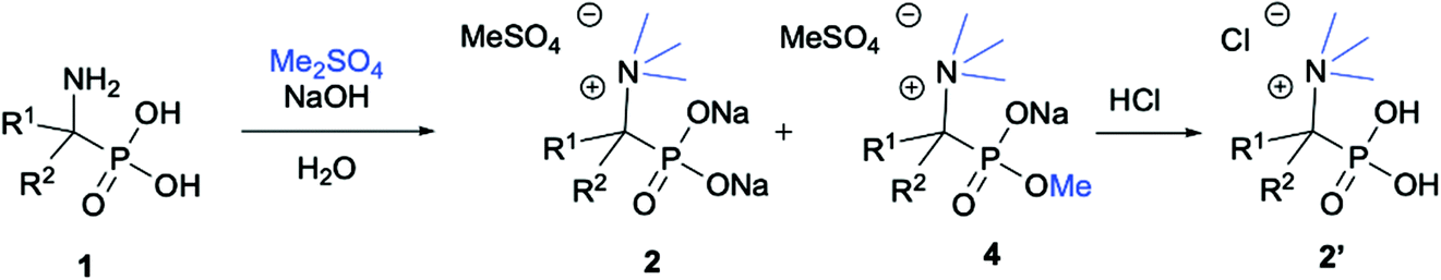 Synthesis and stability of 1-aminoalkylphosphonic acid quaternary ...