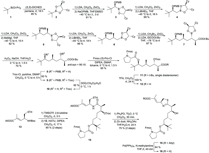 Total synthesis of apratoxin A and B using Matteson's homologation ...