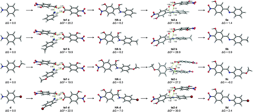 Nucleophilic catalysis of p -substituted aniline derivatives in ...