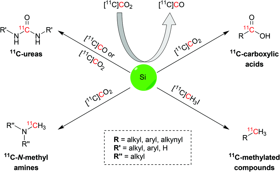 Silicon compounds in carbon-11 radiochemistry: present use and future ...