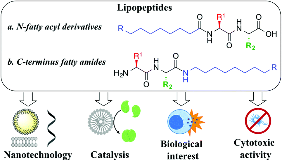 New antimicrobial self-assembling short lipopeptides - Organic ...
