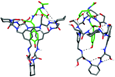 Molecular cages for biological applications - Organic & Biomolecular ...