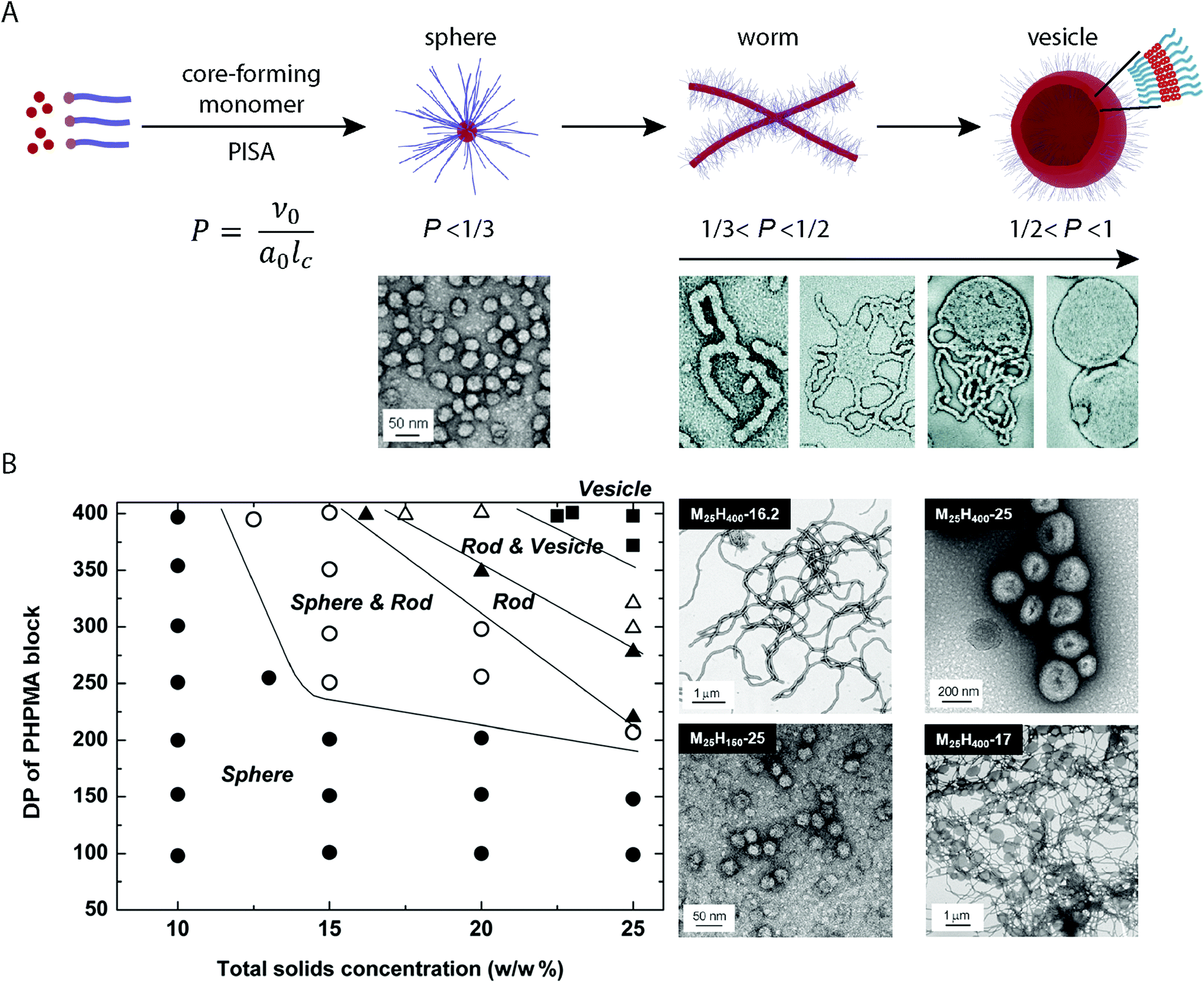 PISA: construction of self-organized and self-assembled functional ...