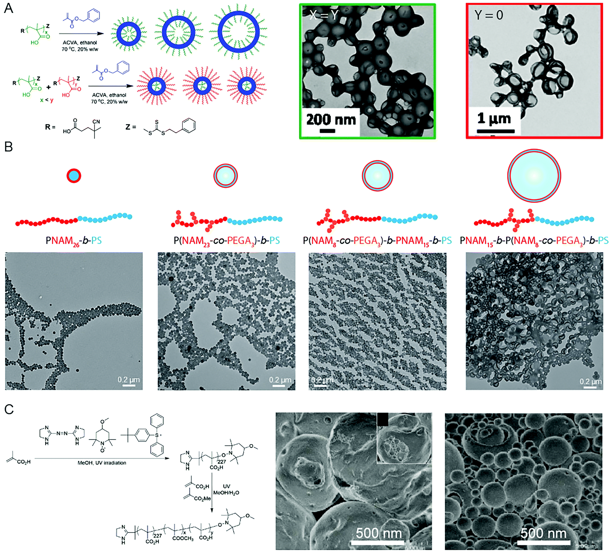 PISA: construction of self-organized and self-assembled functional ...