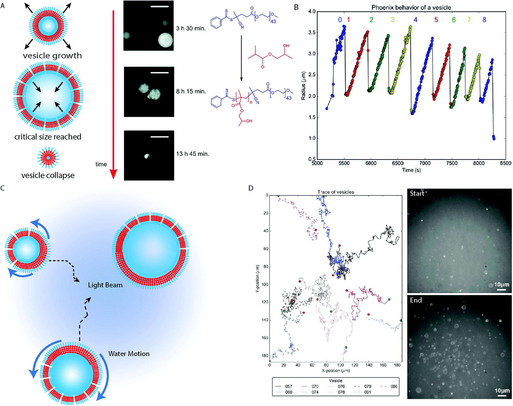 PISA: construction of self-organized and self-assembled functional ...